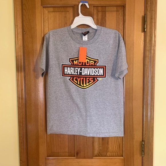 Harley-Davidson | Shirts | Harley Davidson Gray Tee Size Large Nwpt ...